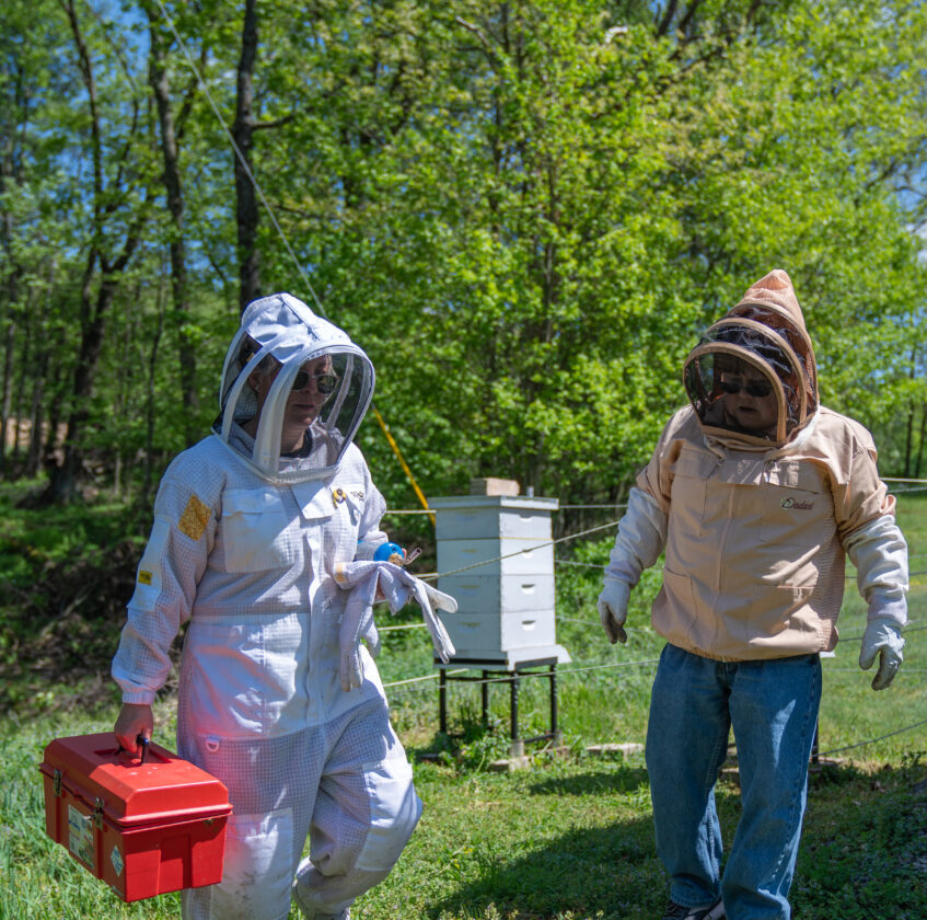 Busy bees: Episcopalian churches care for creation with homes for ...